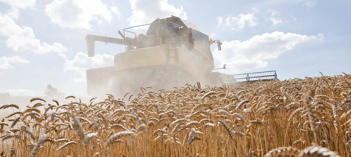 How Danish agriculture can become a driving force for the green transition