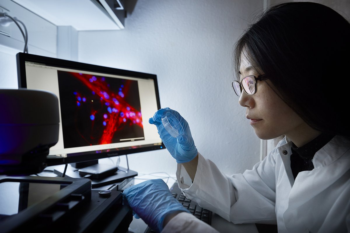Danish researchers aim to spin artificial nerve fibres with new technology